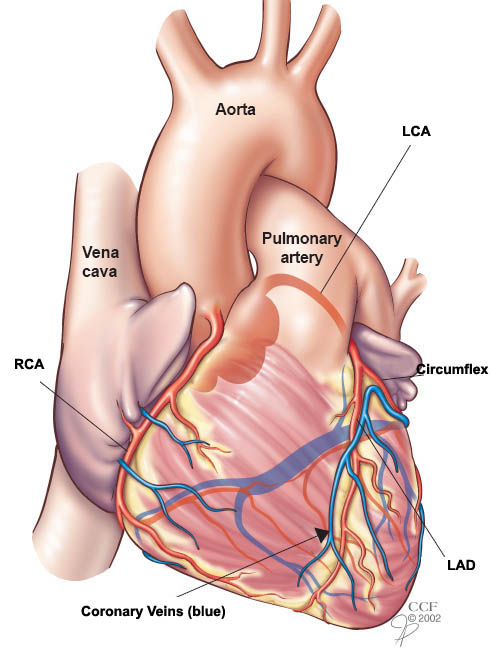 AN OVERVIEW Dr PL SaravananDr PL Saravanan AN OVERVIEW Dr PL SaravananDr PL Saravanan